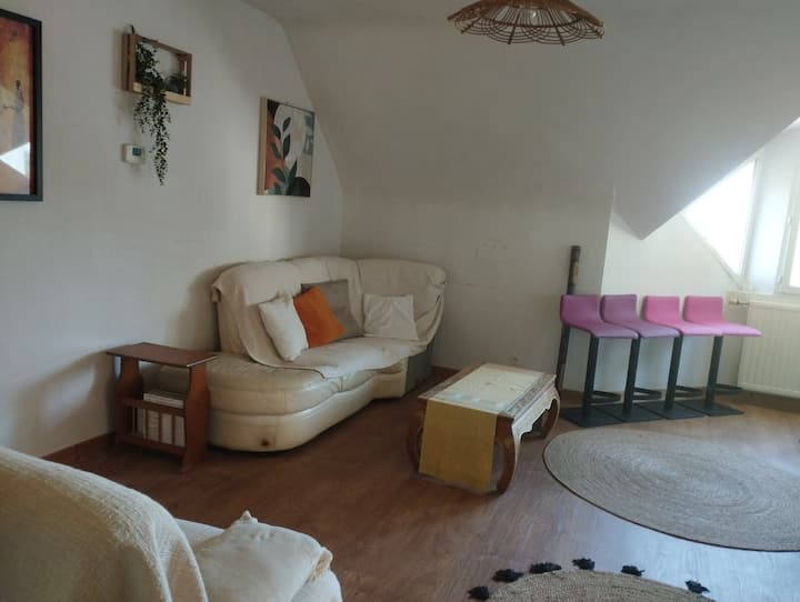2 Chambres Chez L’habitant Vue Mer - Binic