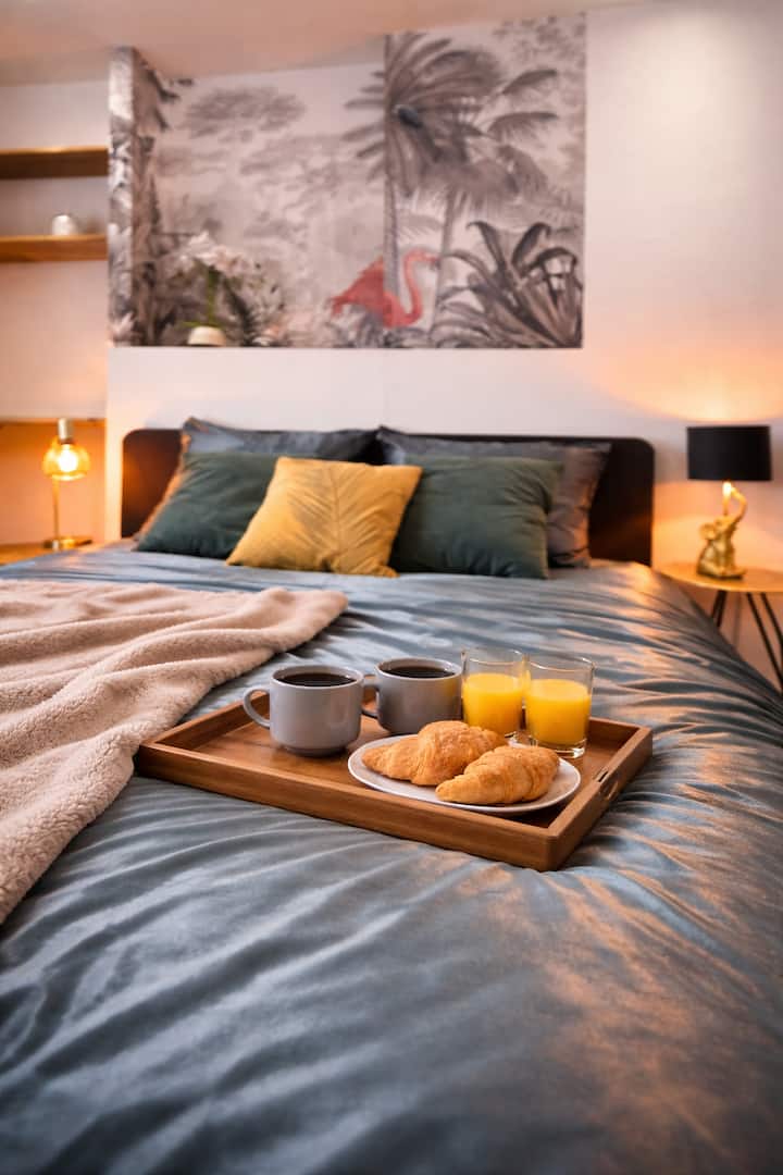 Appartement 𝓵’𝓞𝓲𝓼𝓮𝓪𝓾 𝓭𝓾 𝓟𝓪𝓻𝓪𝓭𝓲𝓼 - Moulins