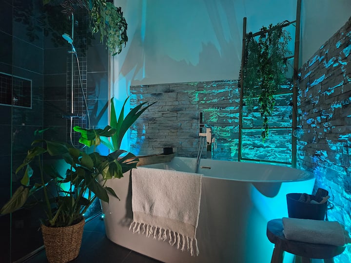 Appart Cosy 68 M2 Spa Jacuzzi 
Proche Gare Marina - Brest