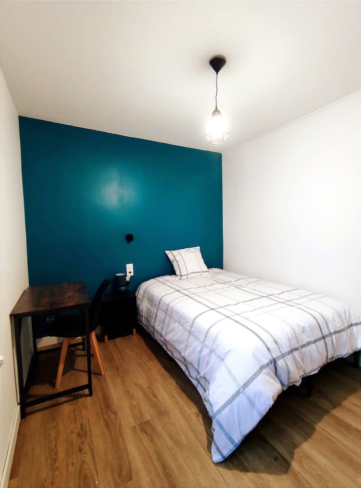 Chambre Chien -Clermont-ferrand - Clermont-Ferrand