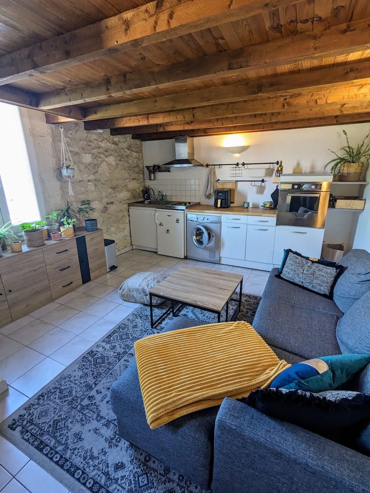 Duplex Plein Cœur Beaux-arts - Montpellier