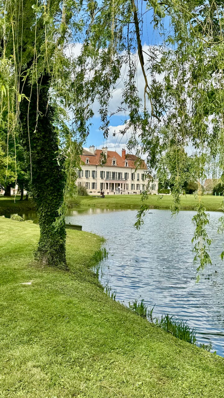Château Face Au Vignoble - Côte-d'Or