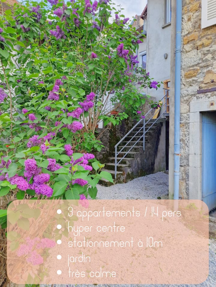 Ensemble 3 Appartements, 14 Pers, Jardin, Centre - Lons-le-Saunier