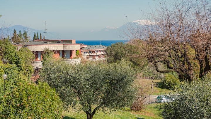 Tra Cielo E Terra- Italian Homing - Desenzano del Garda