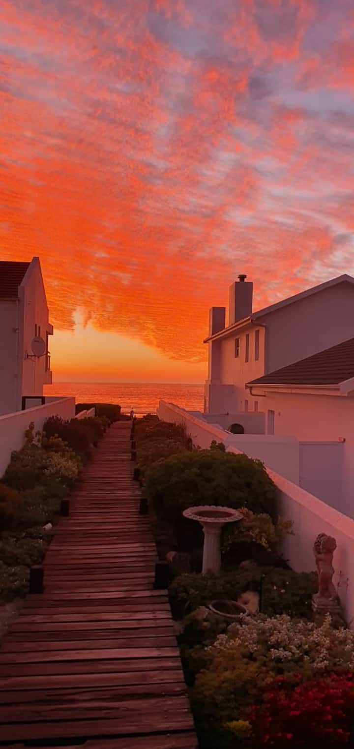 Sandy Cheeks At The Beach - Saint Helena Bay