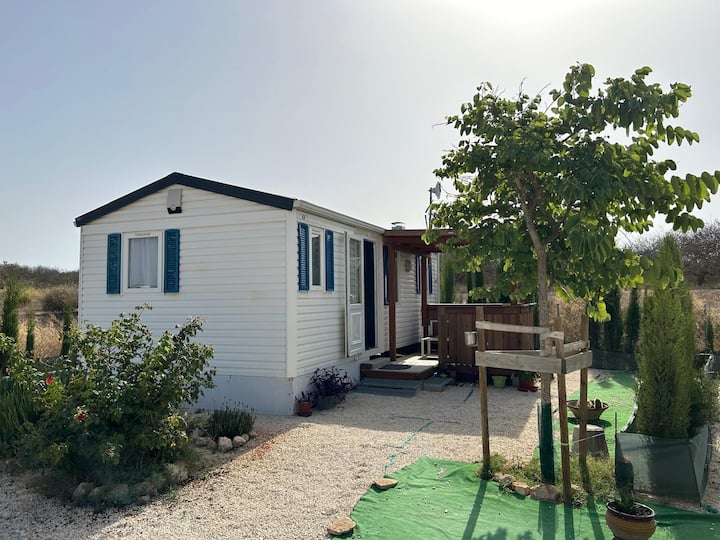 Campo Aurora - La Marina