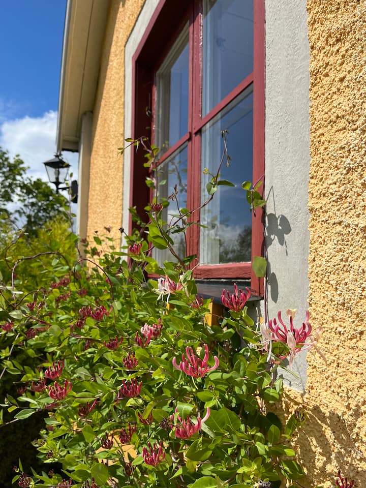 Torpet ”Paradiset” På Adelsö - Ekerö