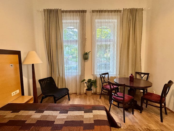 Top 1 Zwei Zimmer Wohnung/prater/universität/messe - Viena