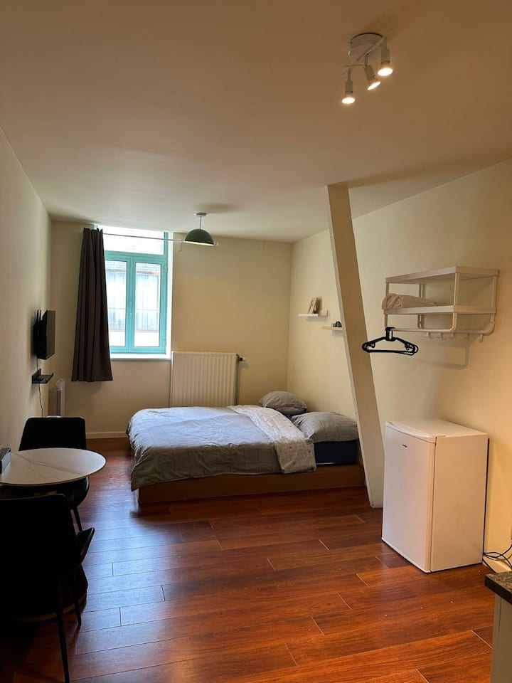 Simple Apartement In Brussels (4a) - Regione Bruxelles, Belgio