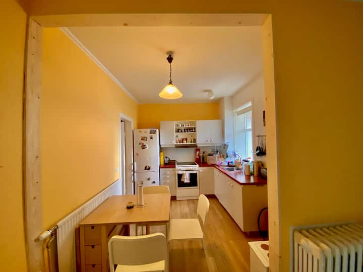 Apartment In Downtown Reykjavík - Reykjavík