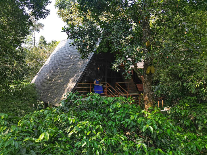 Bourbon 2br Family Cottage | Coffee Estate Stay - Kerala