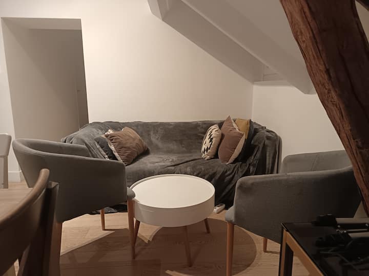 Chambre Dans Appartement - Fontenay-aux-Roses