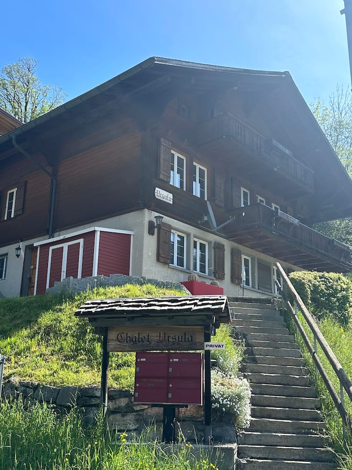 Ursa Major - Front Row Eiger View - Grindelwald