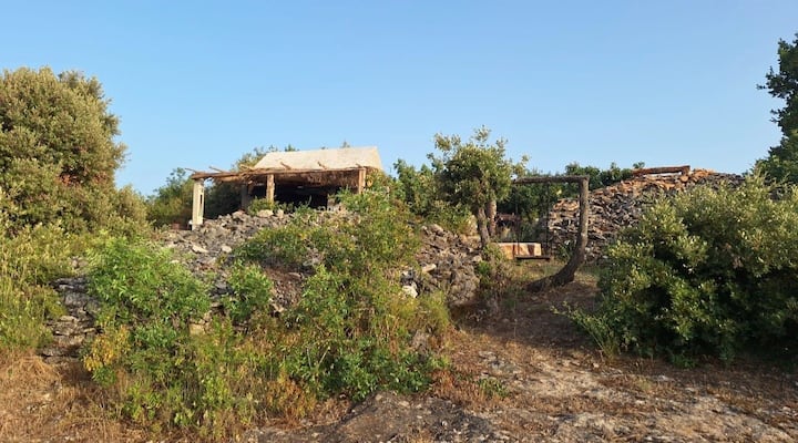 Experience Nature With The Best View - Brač