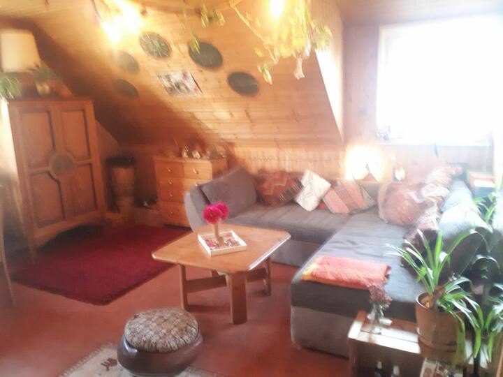 Gemütl. Altbau Am Ortsrand - Waiblingen