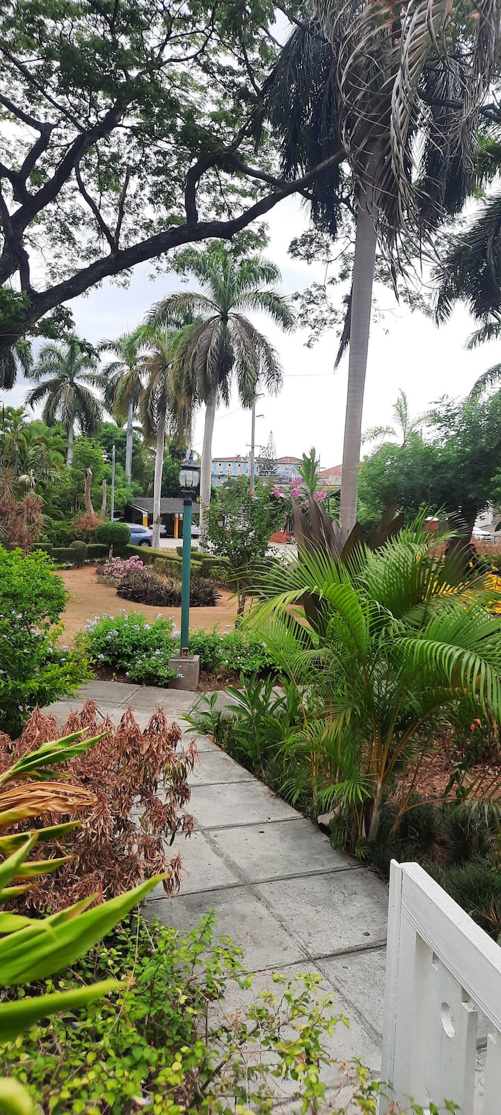 Guango Grove Cozy Corner - Montego Bay