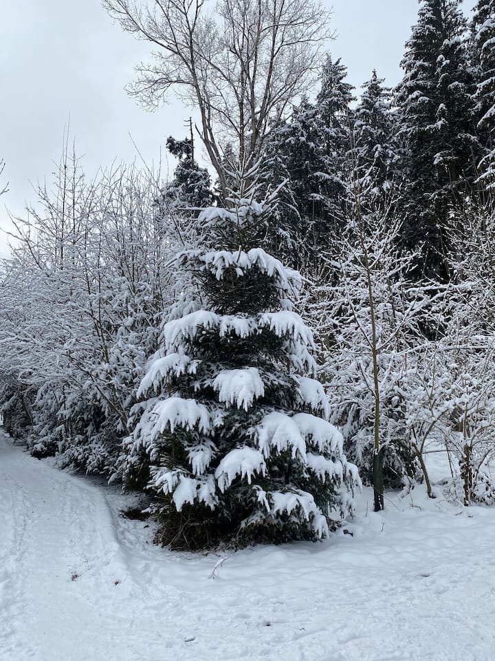 Das Rocky Docky-haus Gemütliche Wohnung/ Andwil/sg - Gossau