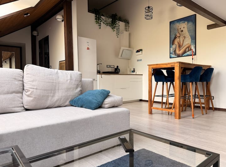 Cozy Studio Loft In Vilnius Old Town - Vilnius