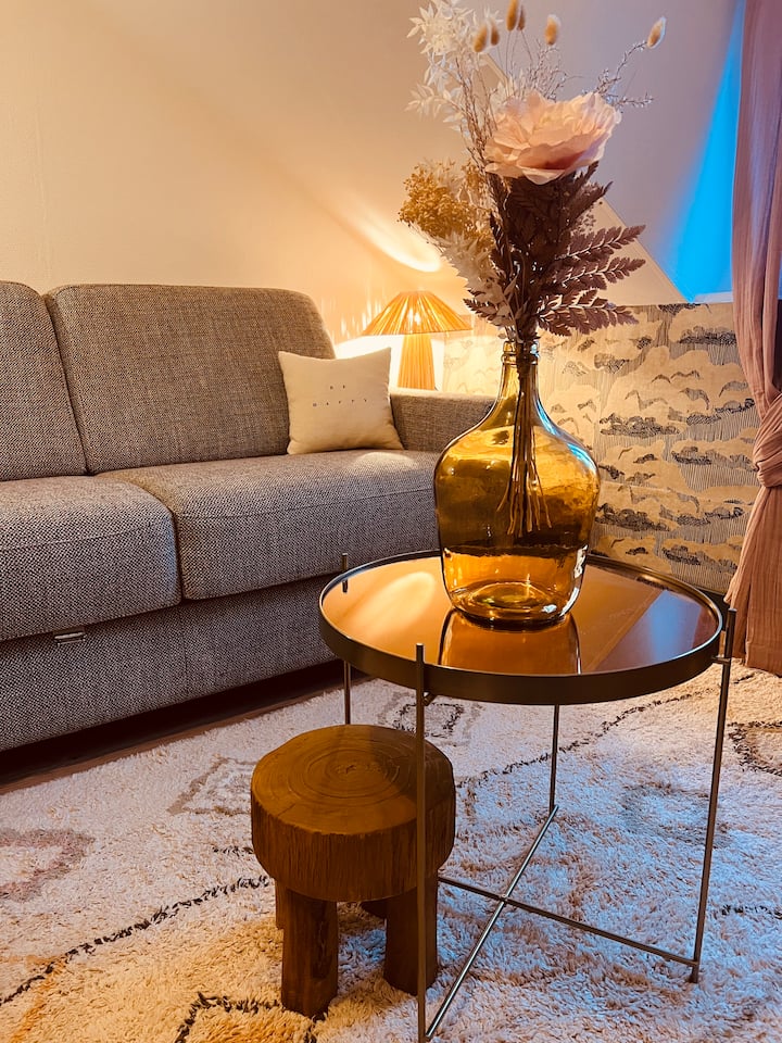 • Cocon Tout Confort - Annecy Centre • - ibis Styles Annecy Centre Gare