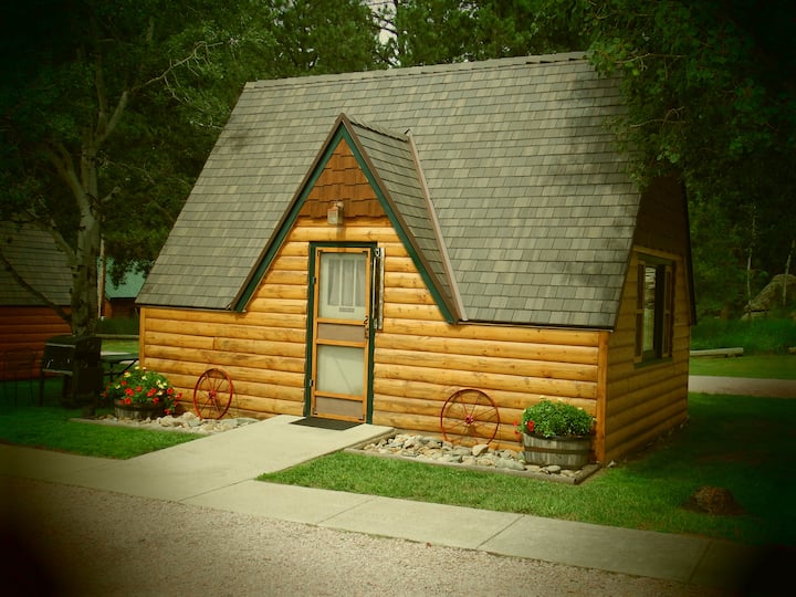 The Lone Star Cabin - Custer, SD