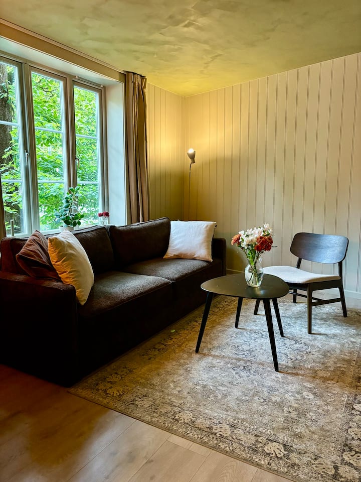 Koselig Leilighet På Løkka - Oslo