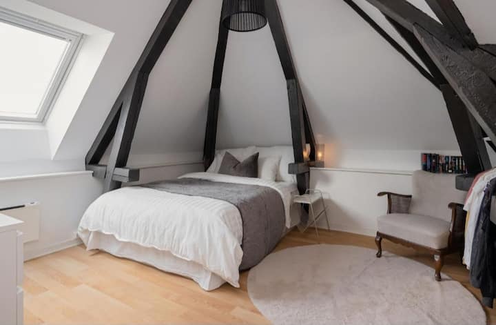 Penthouse In City Centre - Trondheim