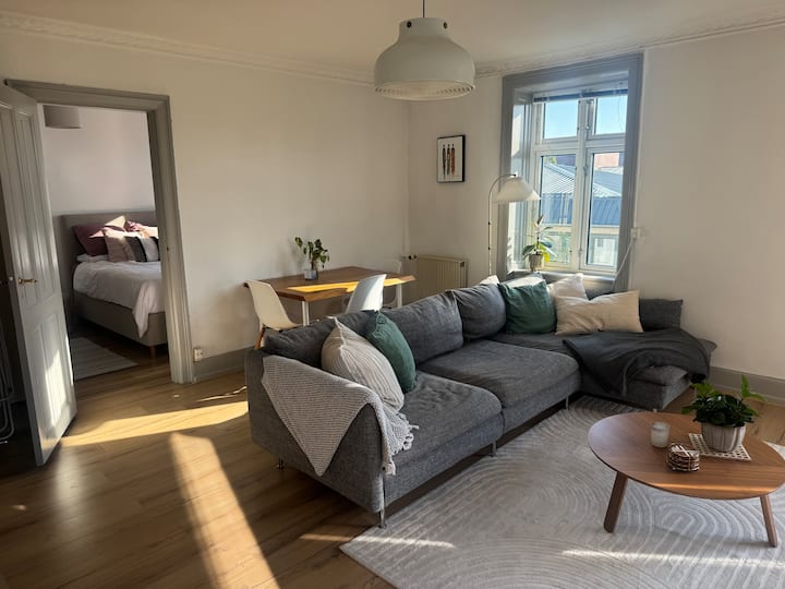 Spacious Two-bedroom Apartment - Copenhaguen