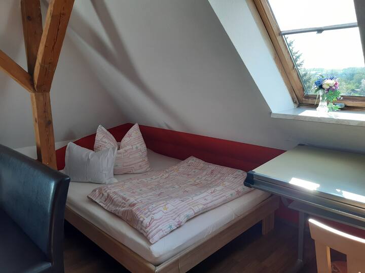 Pension Ines - Zwickau