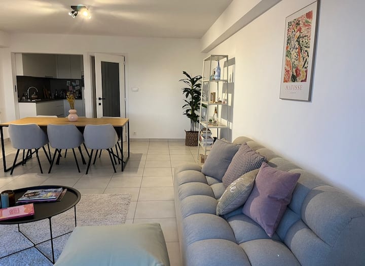 Groot Strandappartement - Ostende