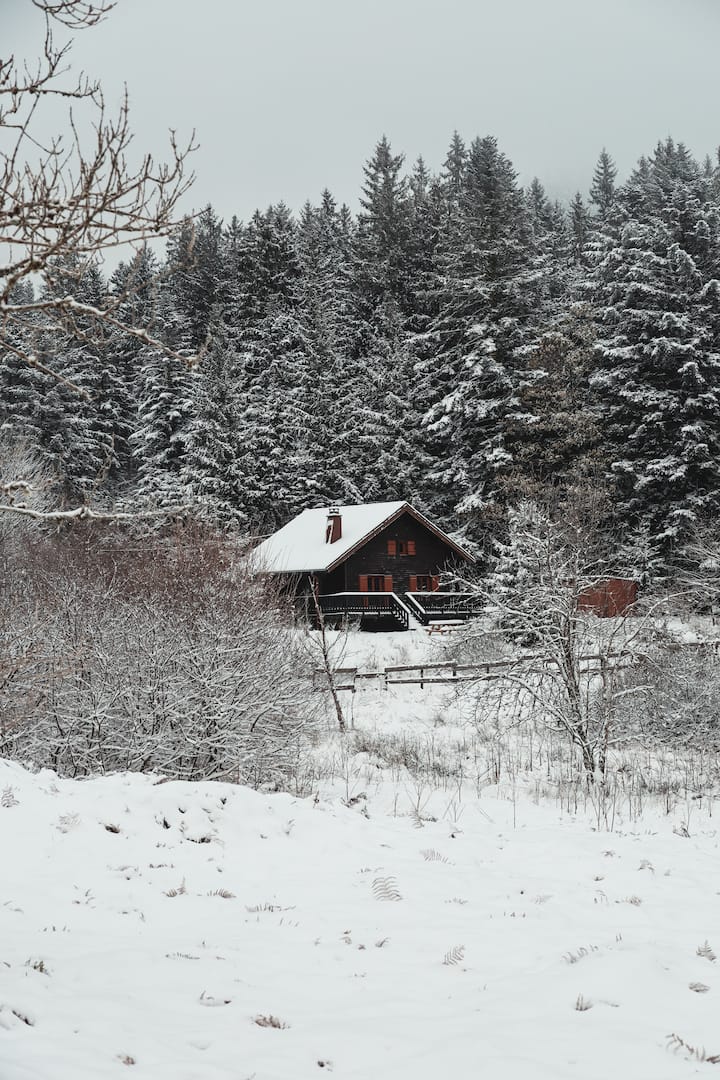 Chalet Avec éTang Gérardmer. - France