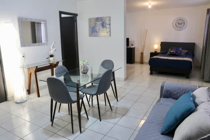 Baja California #2 - 2 Camas En Zona Céntrica - Saltillo