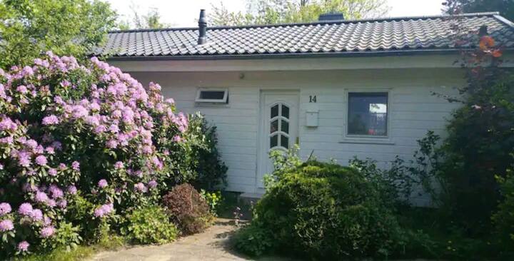 Stralingsvrij Huisje Voor Gezinnen En Vissers - Stavoren