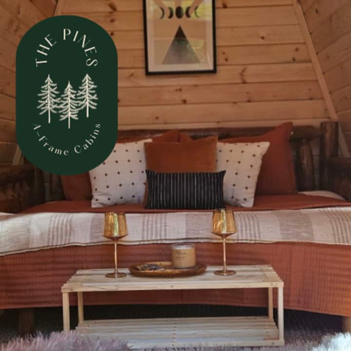 In The Pines-a-frame Cabin #1 - Forks, WA