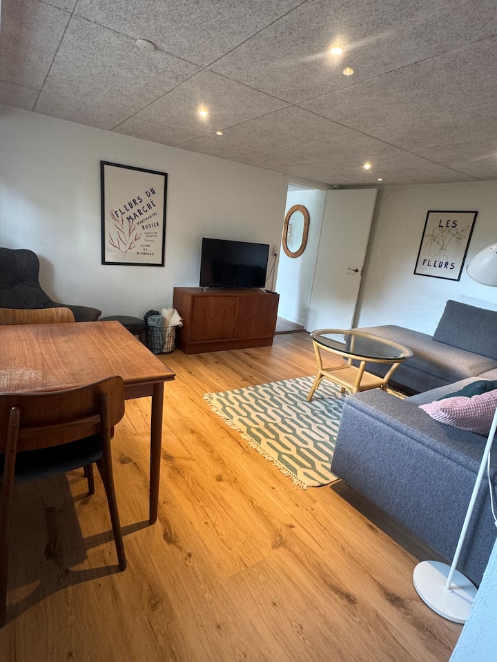 Lys Og Flot Lejlighed I Roligt Kvarter Tæt På Byen - Aarhus