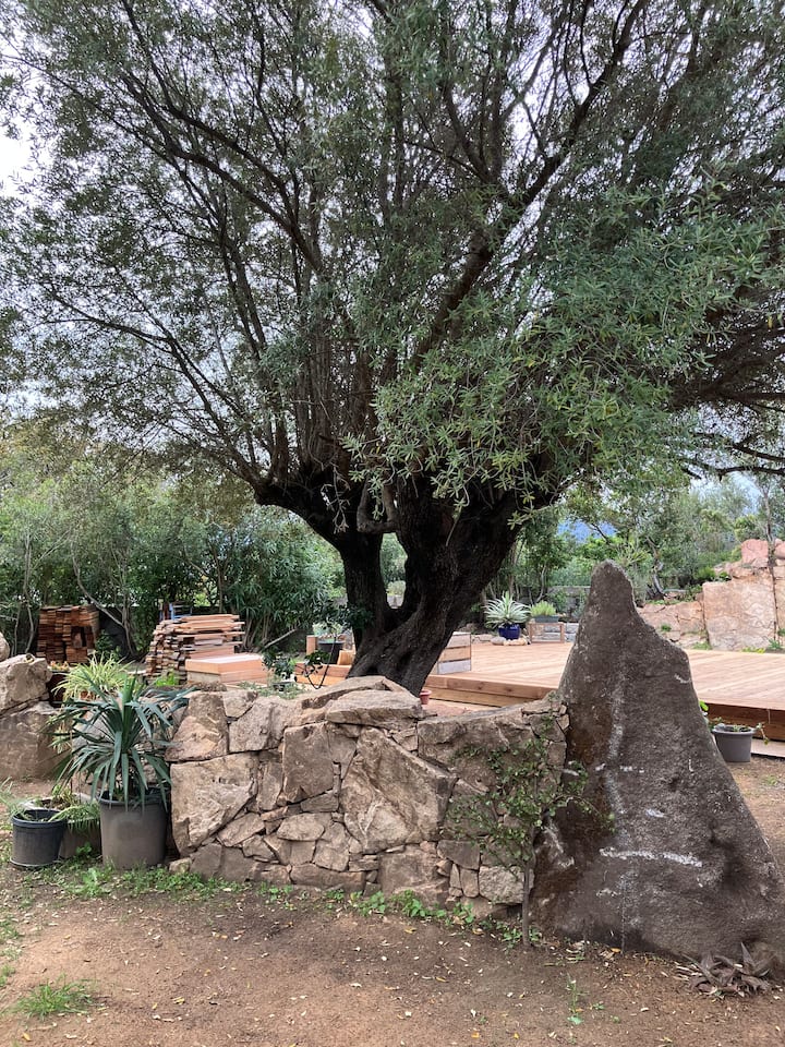 Villa Moderne Vue Mer Au Centre De Porto Vecchio. - Porto-Vecchio