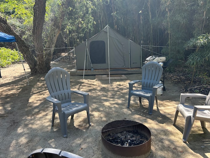 Sequoia Rae 12x12 Cabin Tent - Three Rivers, CA