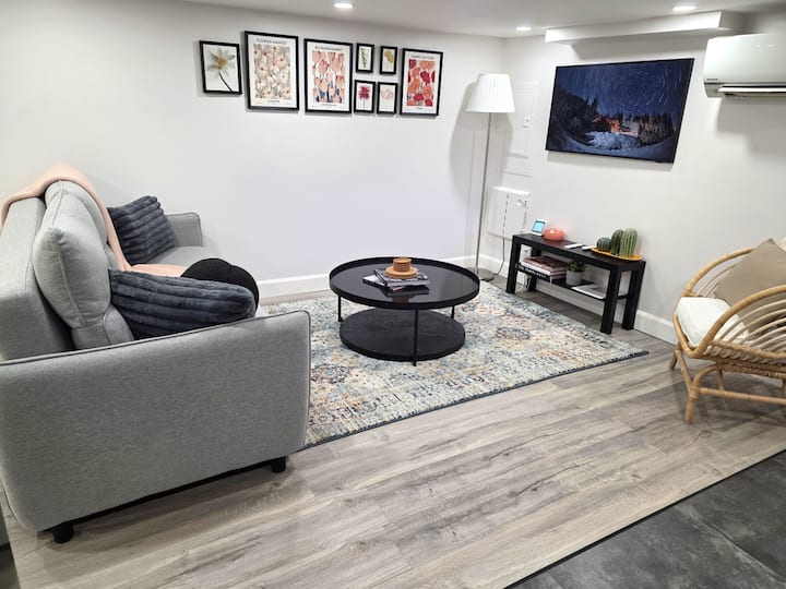 New Modern Basement In Downtown | Little Italy - Toronto