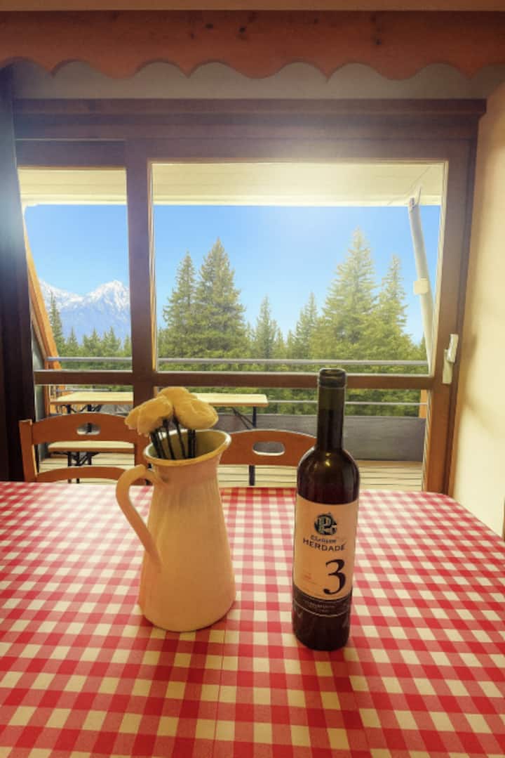 Snow Alert! Refuge Bachat 1700 - Montain Spirit - Chamrousse