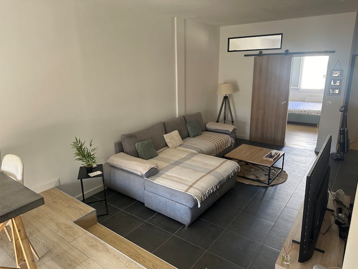 Appartement Proche Gare 12km De Canet - Perpignan