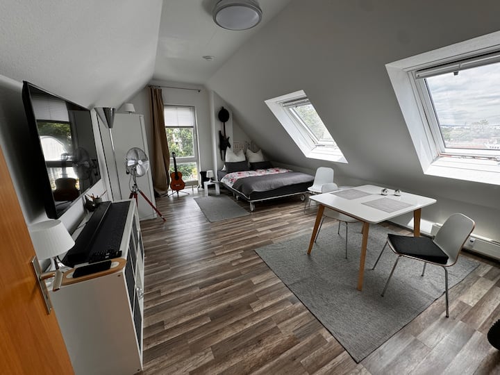 Gemütliche Helle Dach-wohnung In Frankfurt - Frankfurt