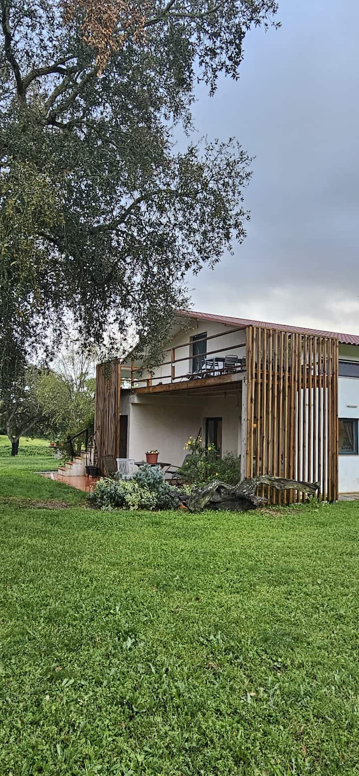 Country House Rogéus - De Bijeneter - Alentejo