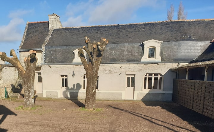 Maison De Campagne - Montsoreau