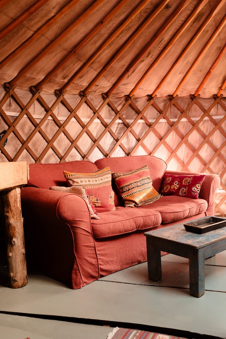 Mongolian Yurt - Machynlleth