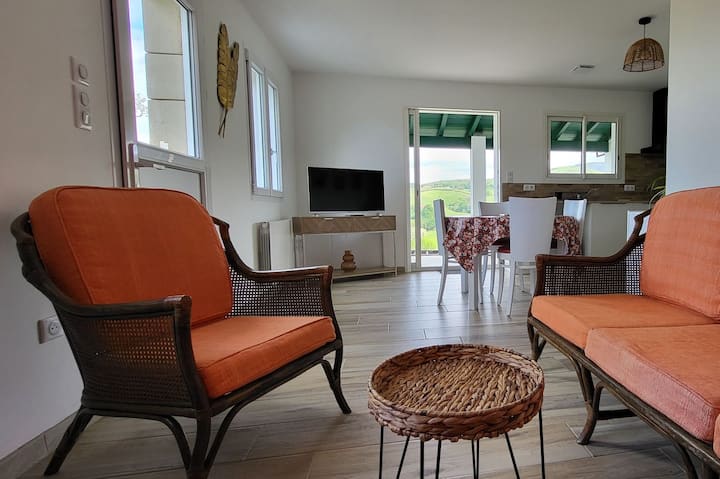 Maison Face à La Montagne - Baztan