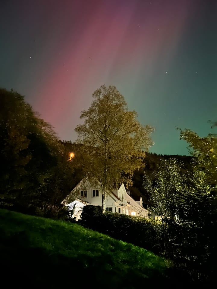 Rolig Utsiktsleilighet I Bergen - Bergen
