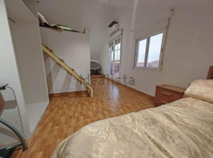 Boardilla Grande - Loeches