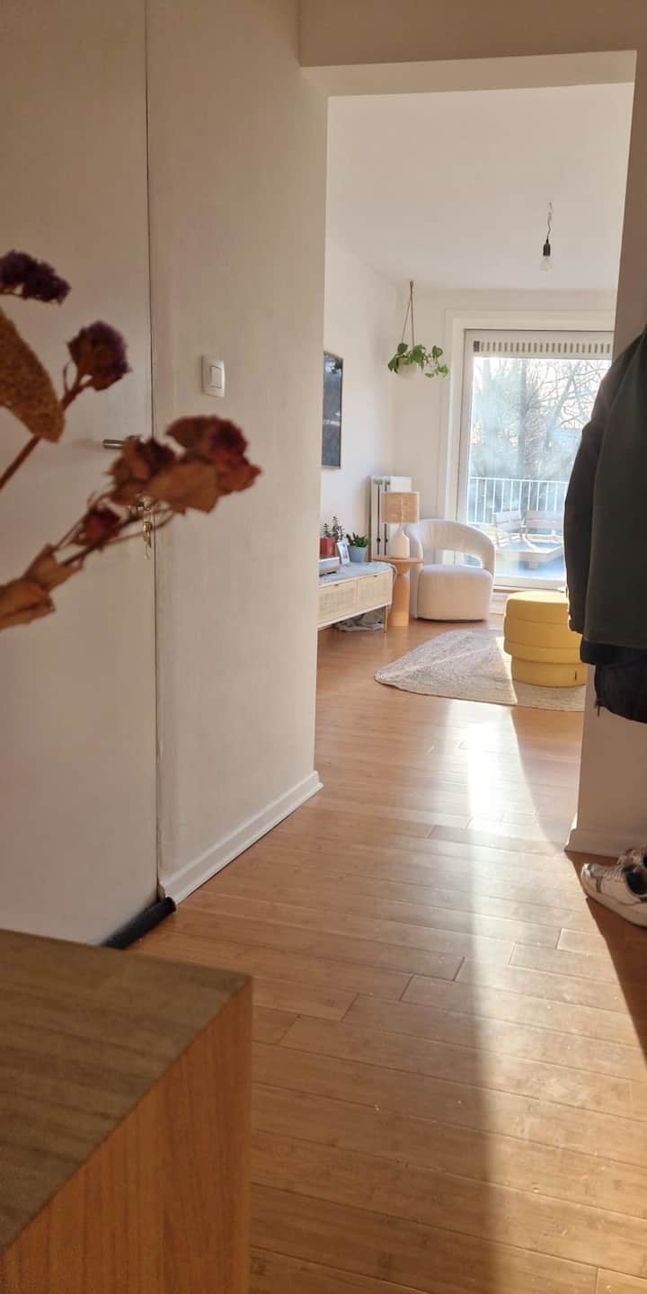 Gezellig Appartement - Ghent