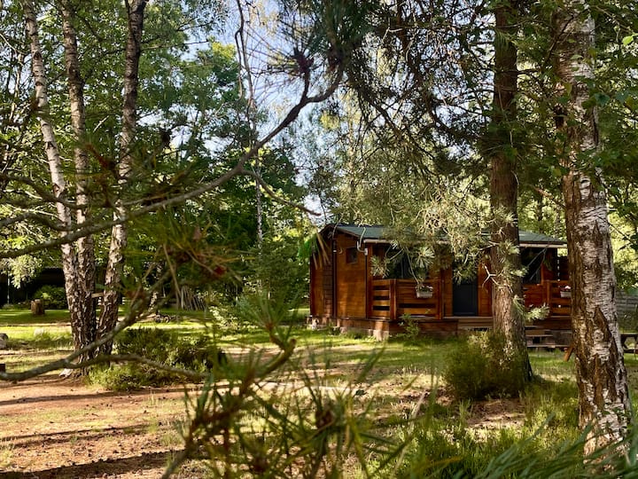 Chalet Au Cœur De La Forêt. - Sarthe
