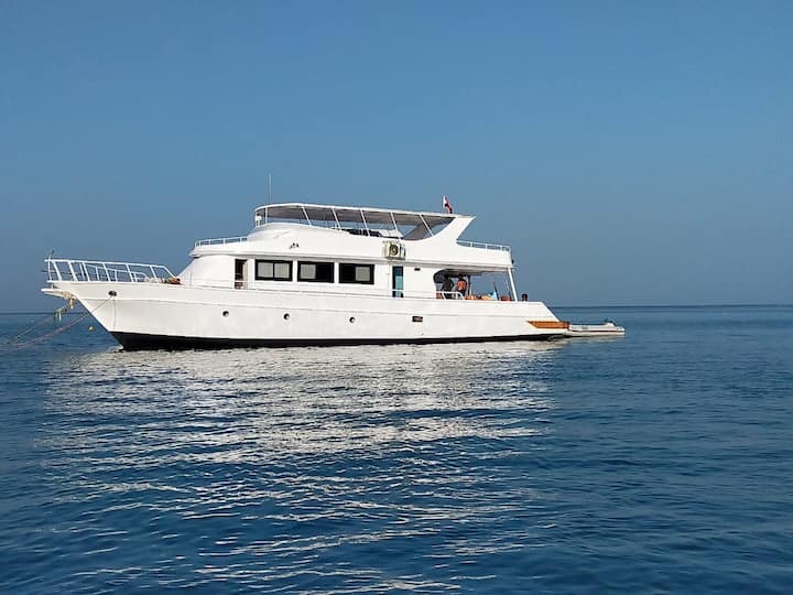 Marmar-marsa-alam-sea-trips - Marsa Alam