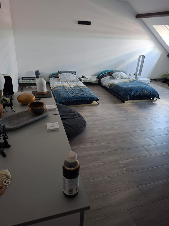 Joli Studio Style Japonais - Tremblay-en-France